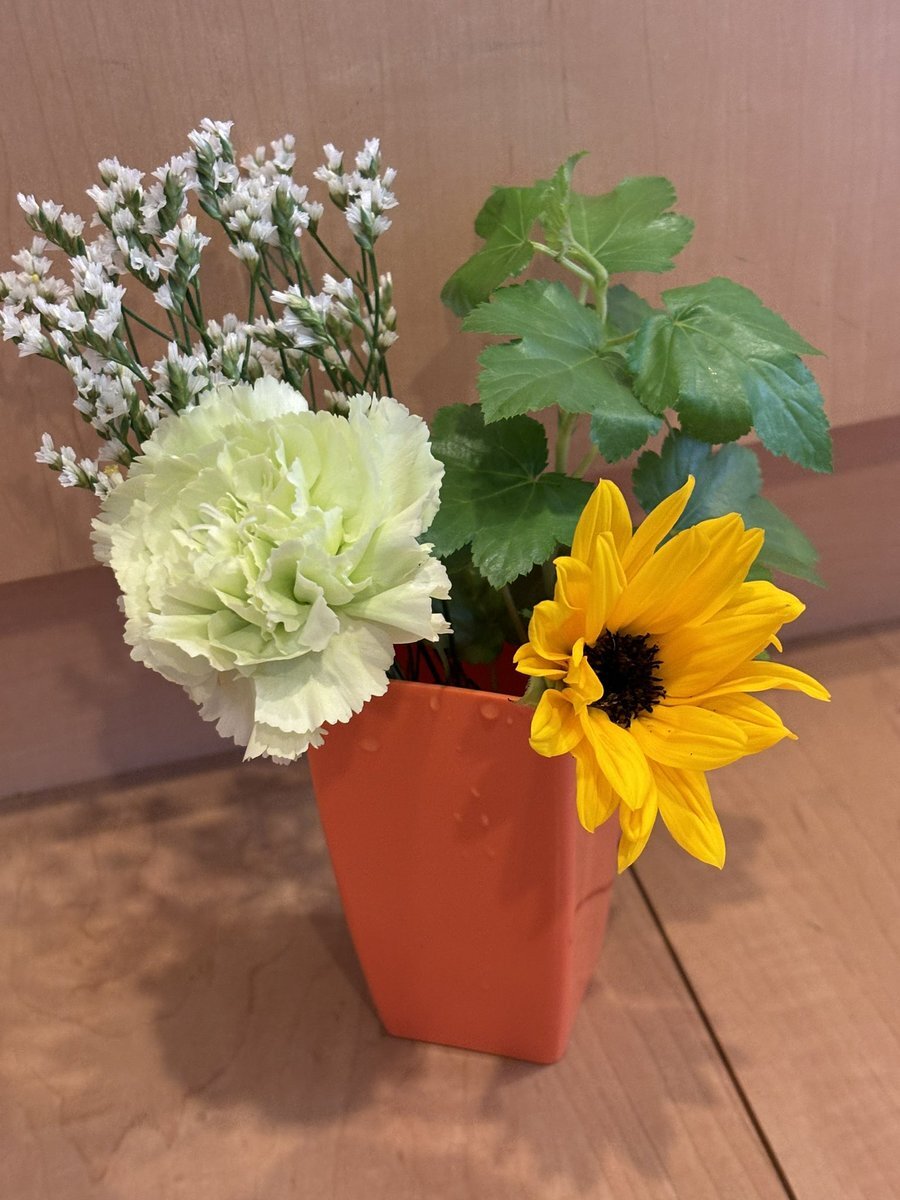 OATアグリオ(株)【4979】：株つぶやき - Yahoo!ファイナンス