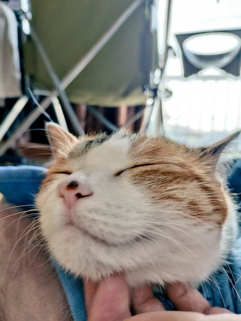 (株)GSI【5579】：株つぶやき - Yahoo!ファイナンス