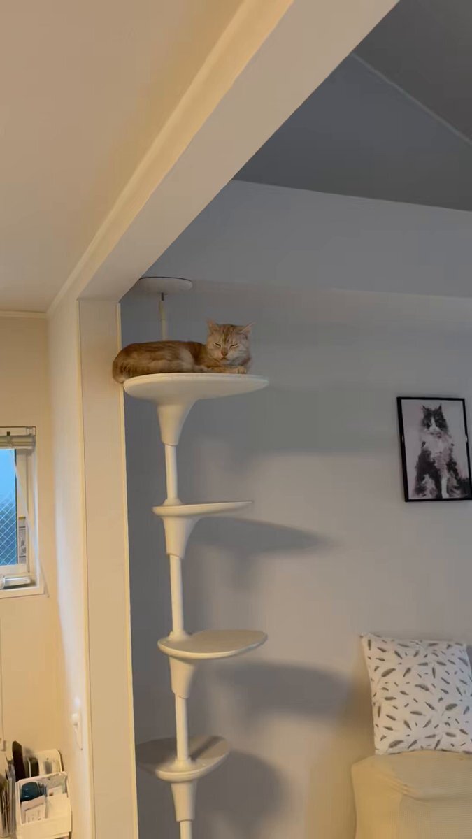 SBIホールディングス(株)【8473】：株つぶやき - Yahoo!ファイナンス